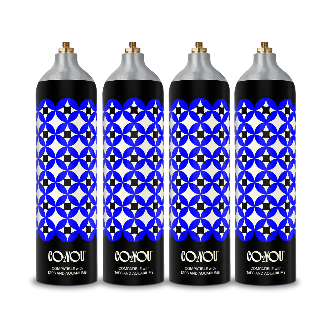 Large Cylinders - for Billi Sparkling Water Taps – CO2 YOU